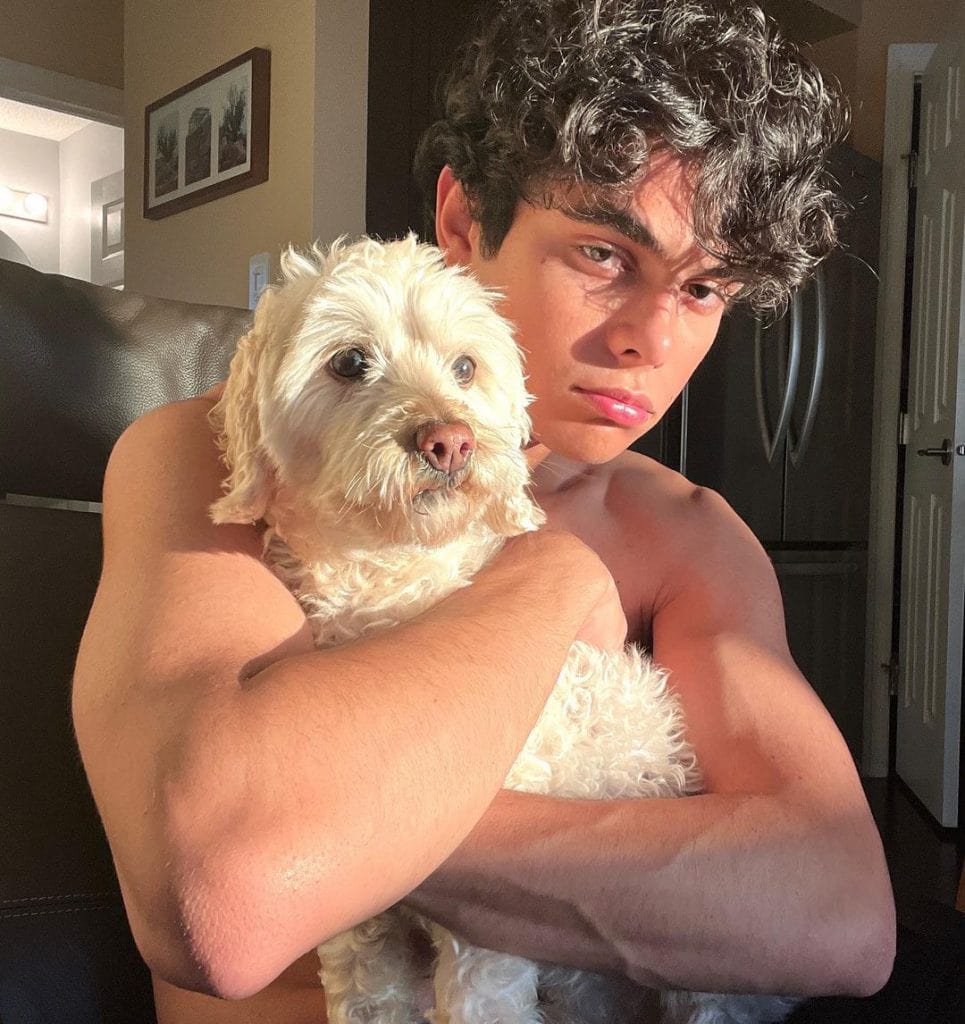 Is Benoftheweek Gay? His Sexuality Revealed - OnRumors